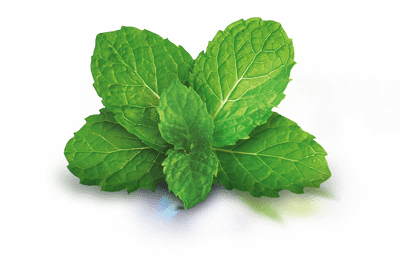 Afzal Hookah Flavours Wholesale - Afzal Shisha Distributor